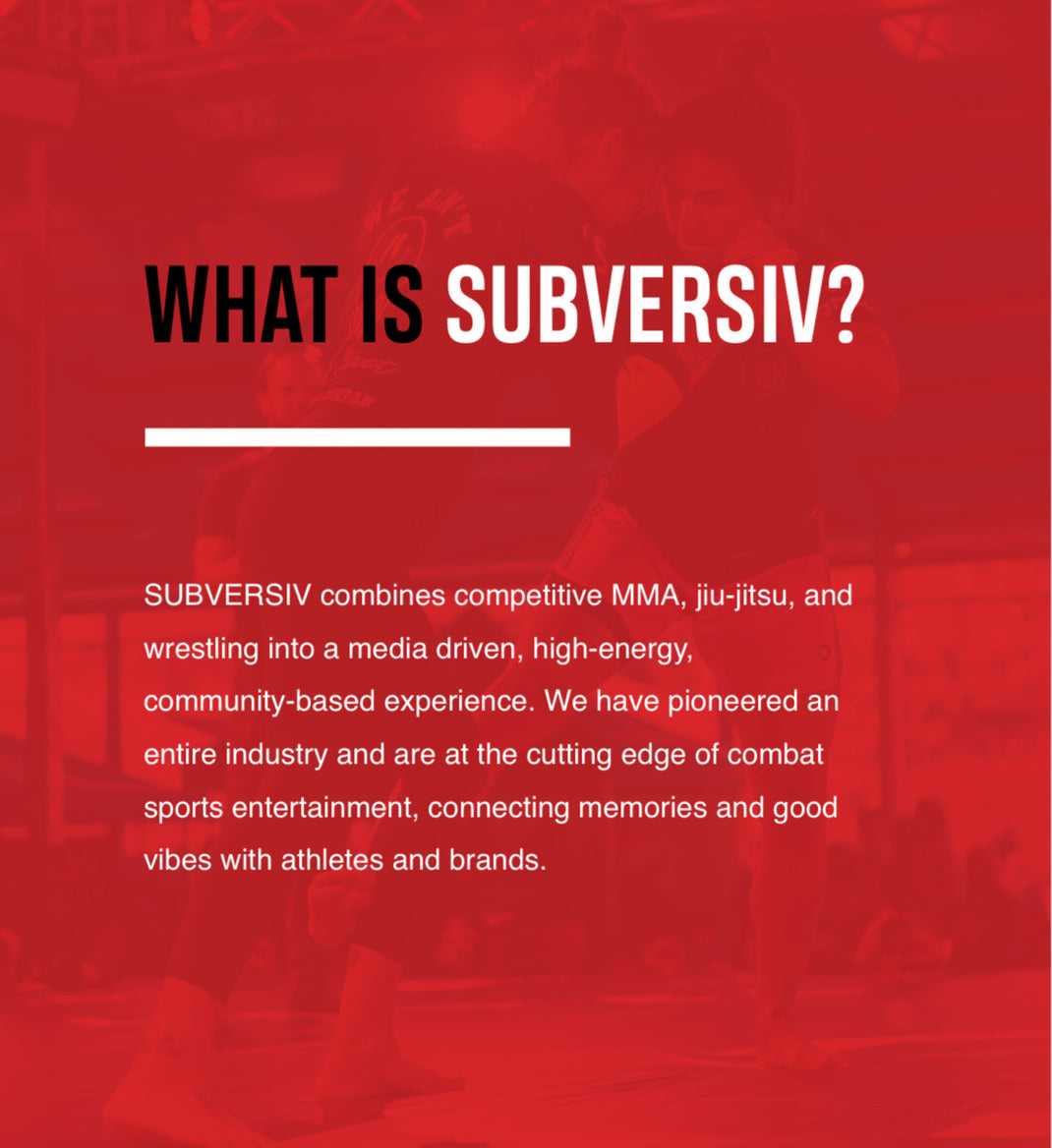Subversiv BJJ